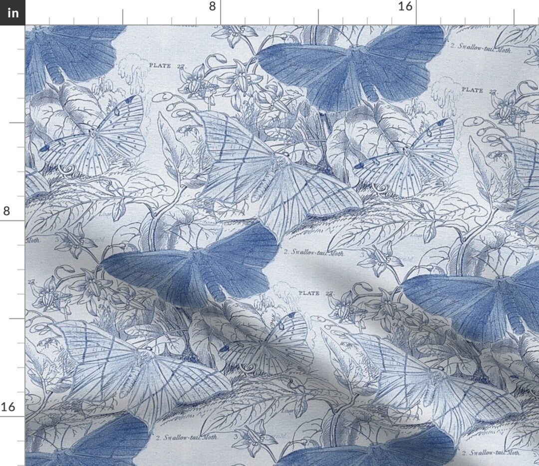 Blue Moths Fabric Moth Ridden Botanical Blue White by - Etsy