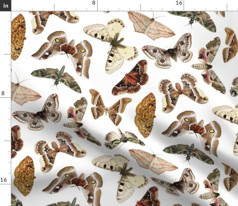 Vintage Moth Fabric Moths on White by Jellymania Moth - Etsy
