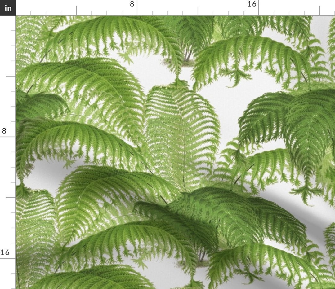 Fern Fabric Ferndale Blanche by Peacoquettedesigns Nature Plant Spring ...