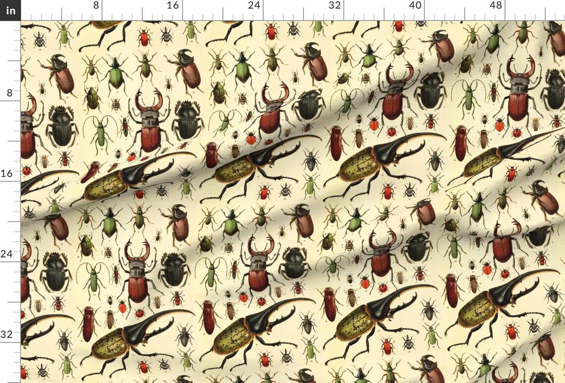 Vintage Beetles Fabric - Beetles Insect Taxonomy Print Engraving Bug by ...
