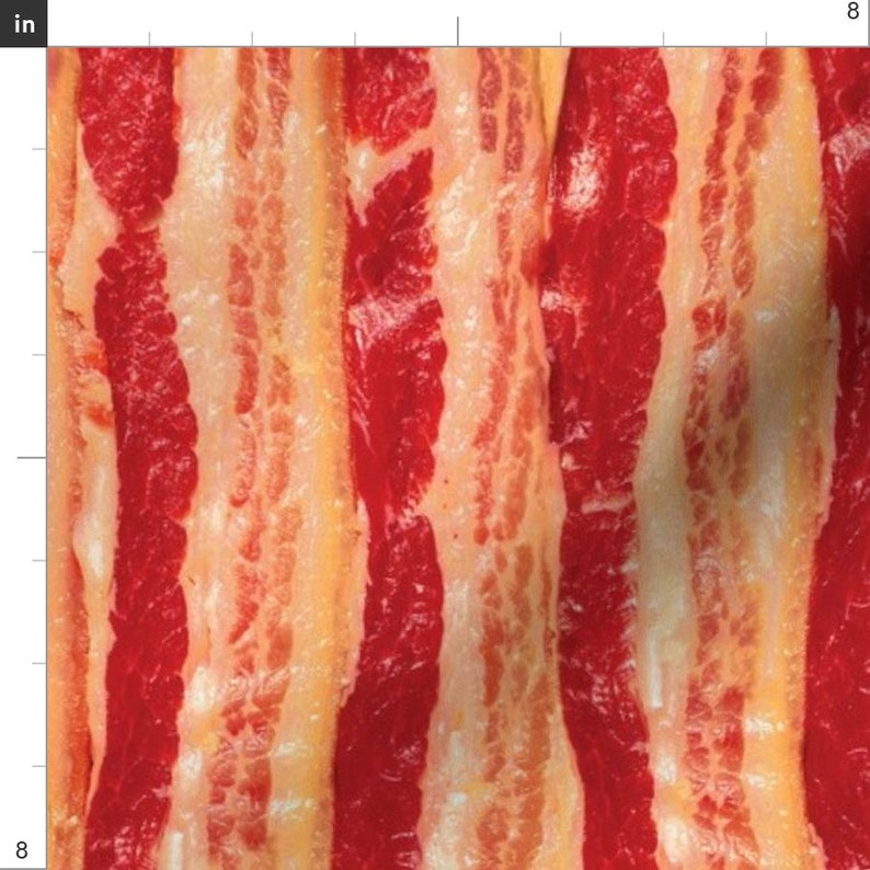 Bacon Fabric Bacon Slabs by Xoxotique Bacon Stripes Cotton | Etsy