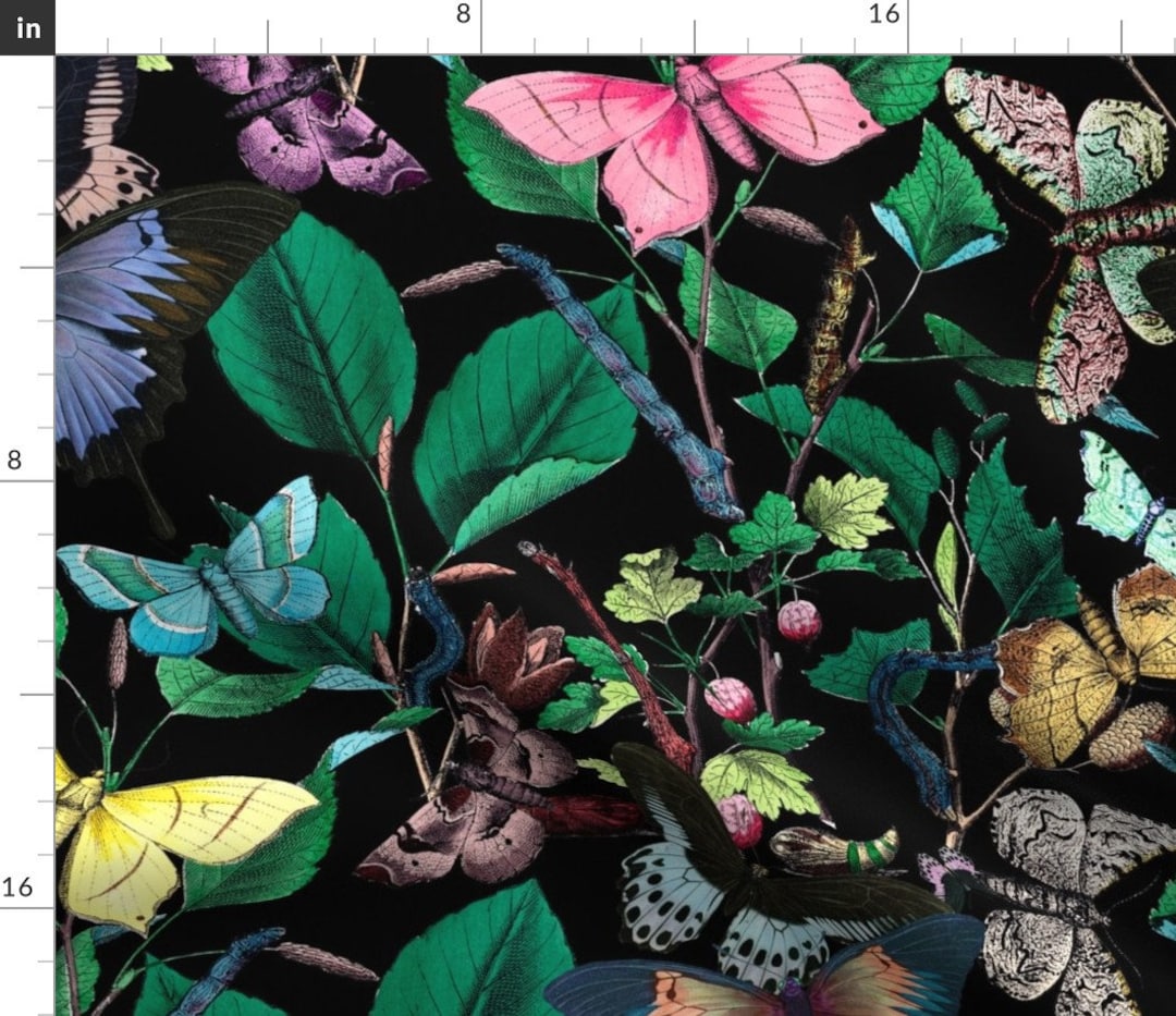 Butterfly Fabric Butterfly Sanctuary Bright on Black Large by ...
