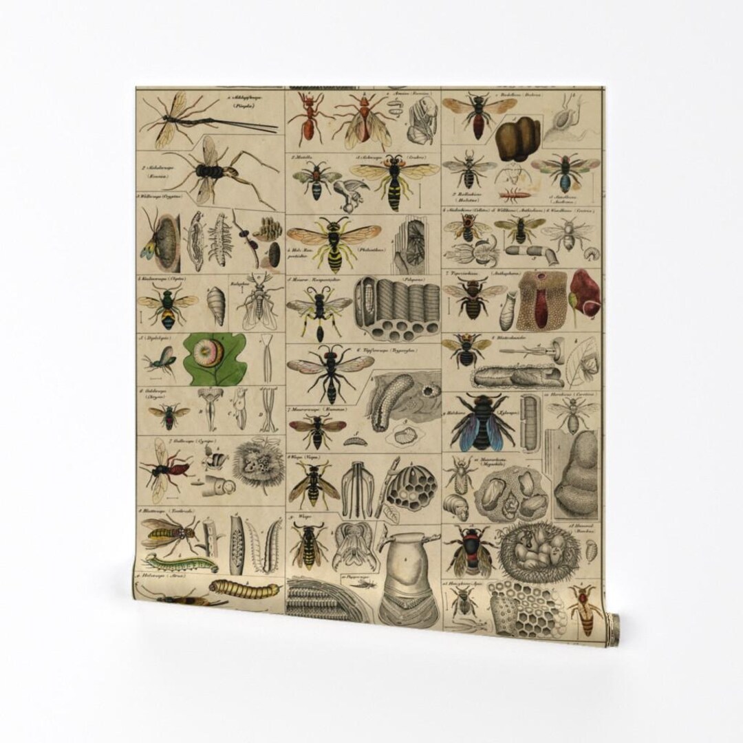 Insects Wallpaper - Bugging Out by Peacoquettedesigns - Entomology ...