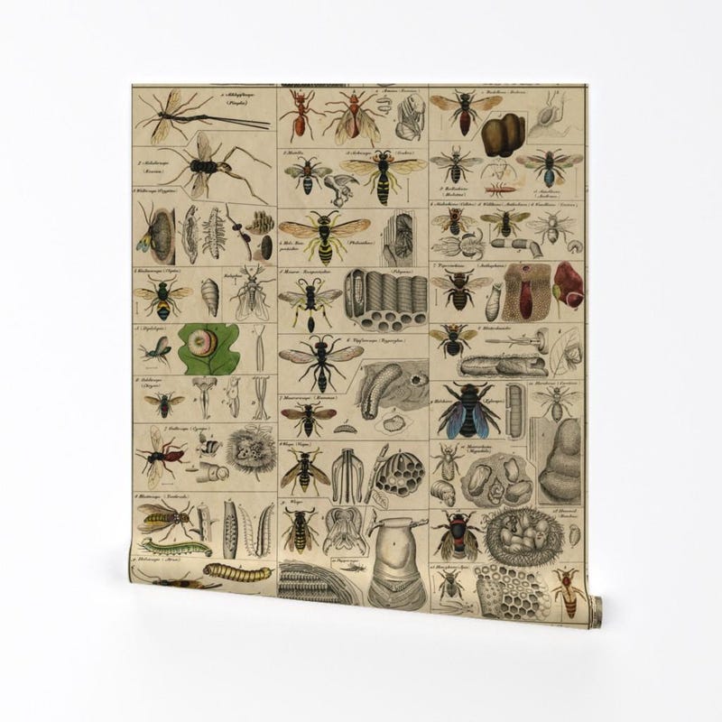 Insect Wallpaper - Etsy