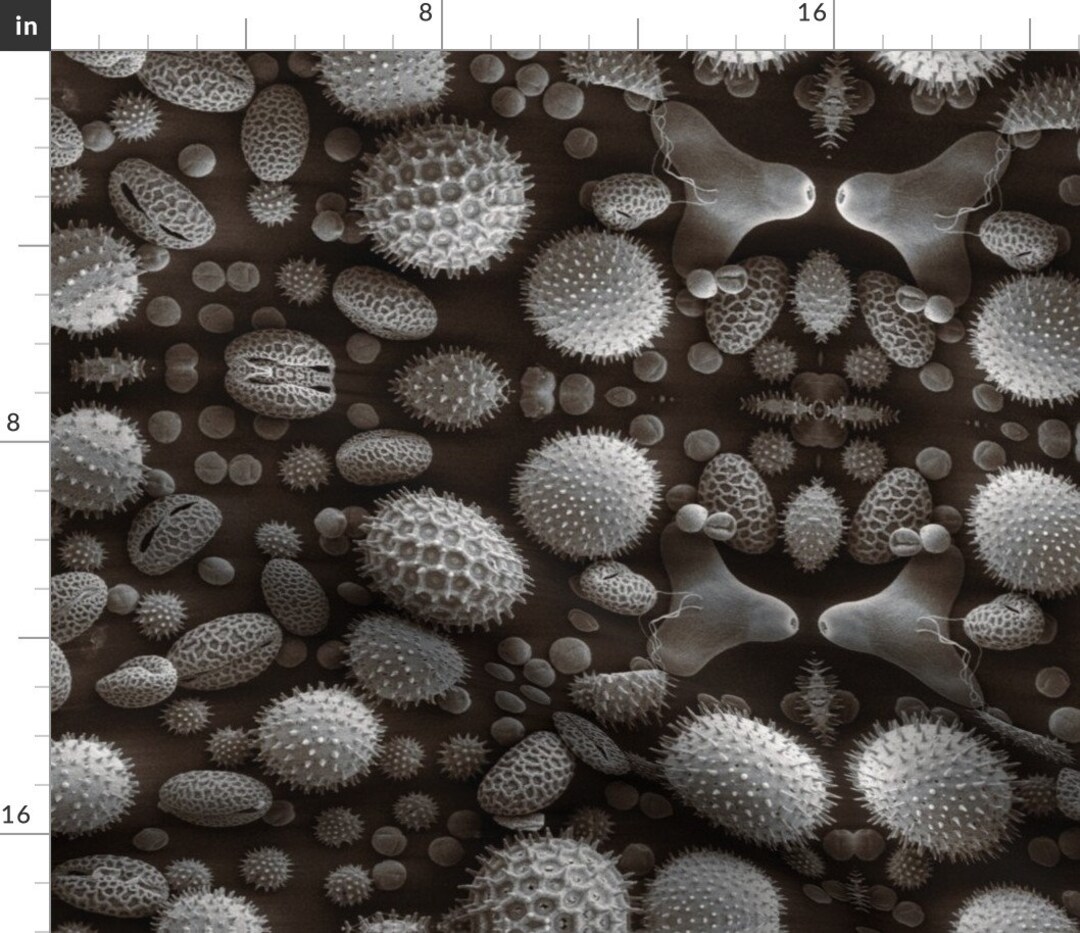 Pollen Fabric Pollen Mix Grey Sem by Craftyscientists - Etsy