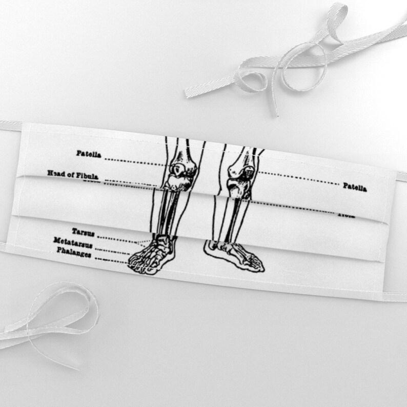 Skeleton Fabric Anatomical Study of A Skeleton by - Etsy