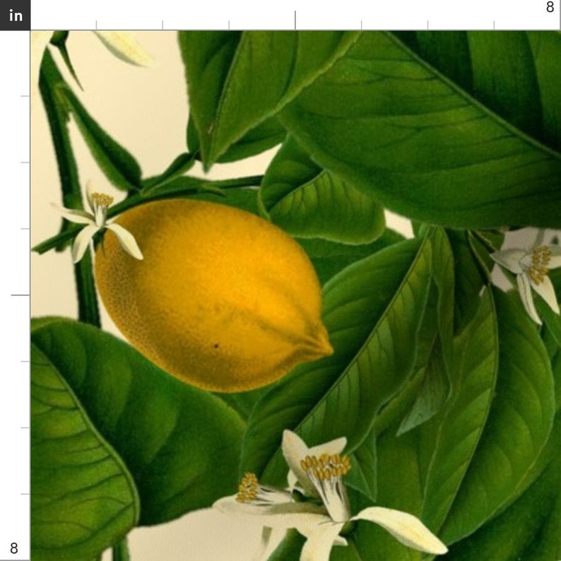 Summer Lemon Fabric Lemon Botanical Trianon Cream by - Etsy