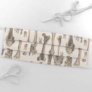 Bones Fabric Bones by Deborahballingerillustrations Bones | Etsy