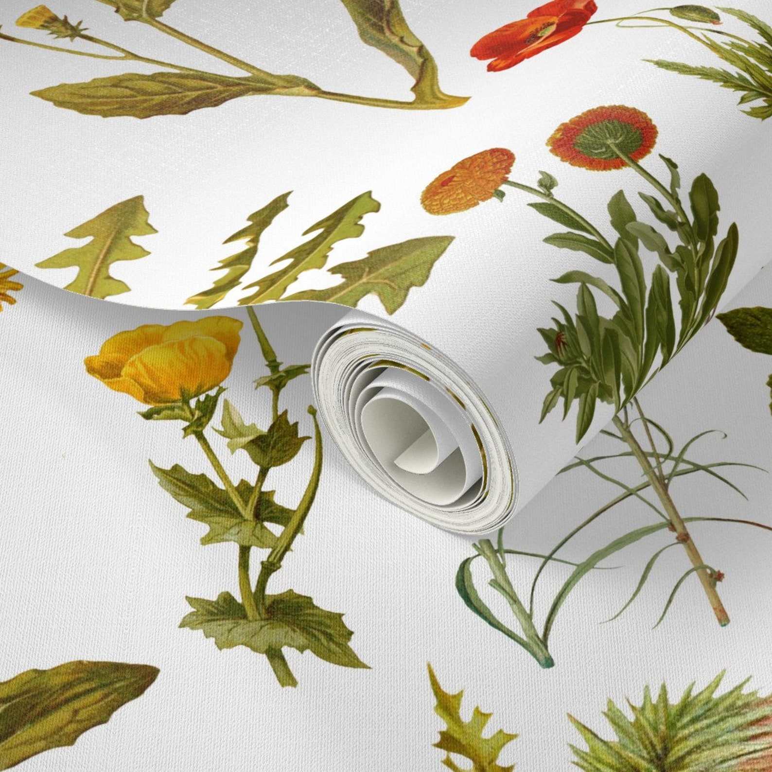 Botanicals Wallpaper Vintage Botanical Wildflower by - Etsy