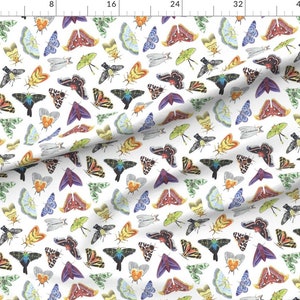 Moths Fabric Colorful Moth Medley by Annegwish33 Moths Bugs Insects ...