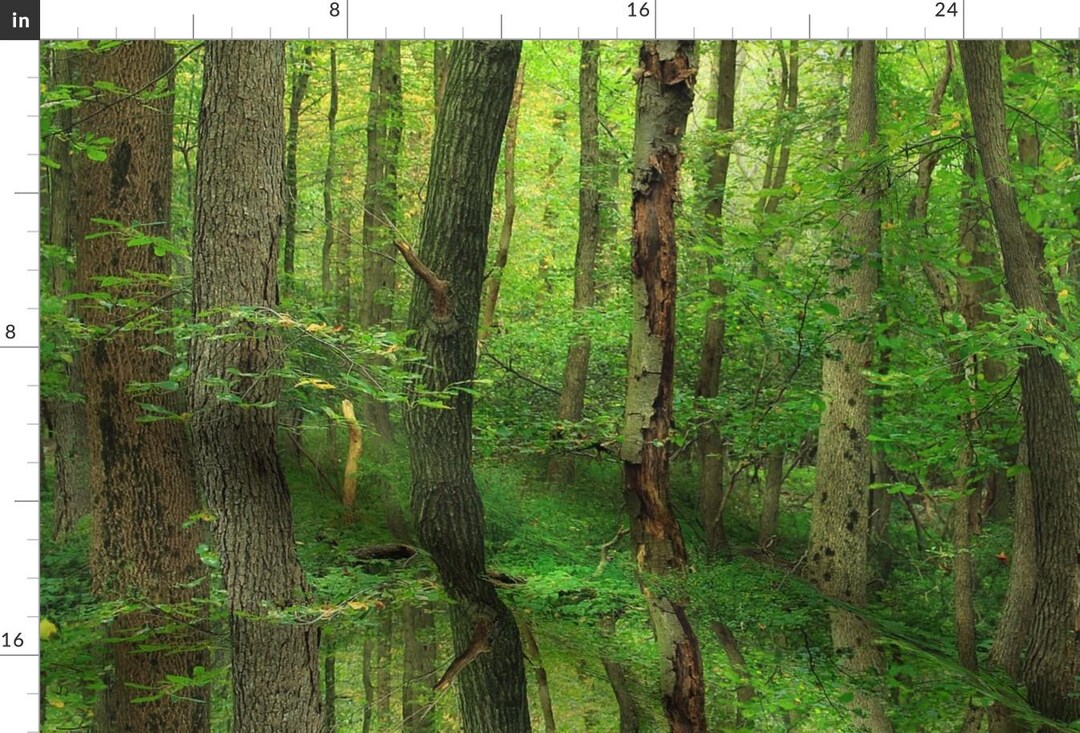 Green Forest Fabric - Forest for the Trees by Peacoquettedesigns ...