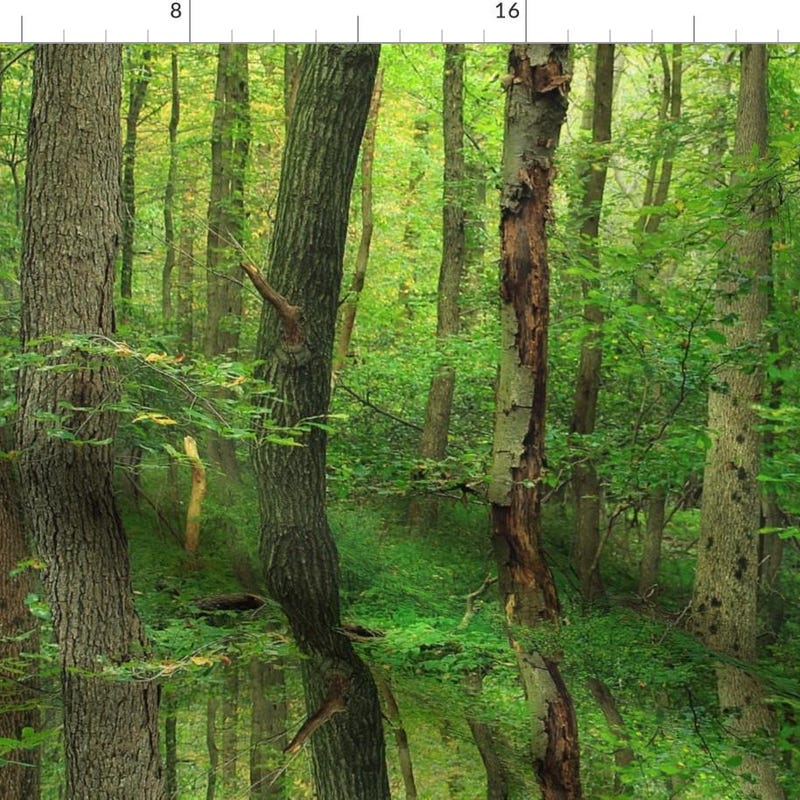 Forest Fabric - Etsy