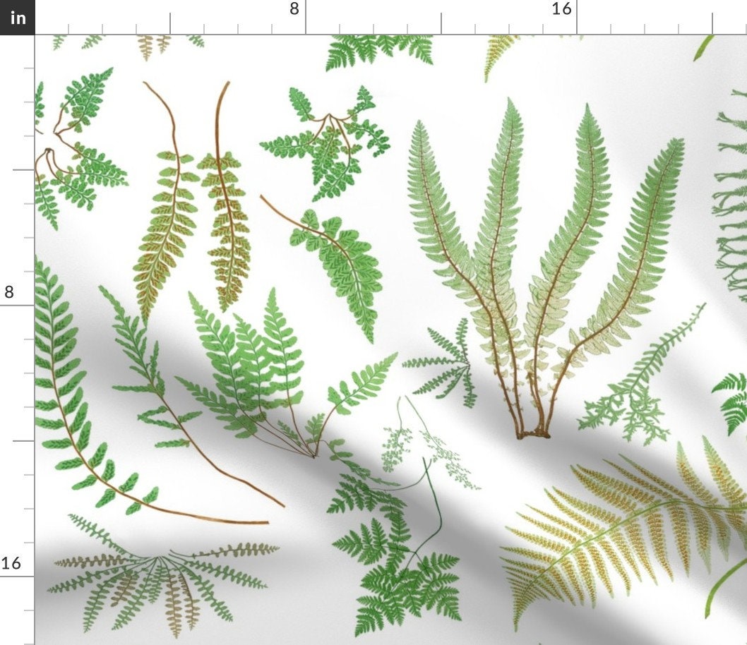 Botanical Ferns Fabric Fern Botanical White by | Etsy