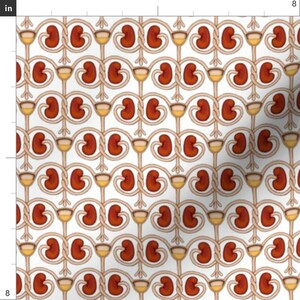 Kidney Fabric Kidneys and Bladder 1/2 Size by Sufficiency Kidney ...