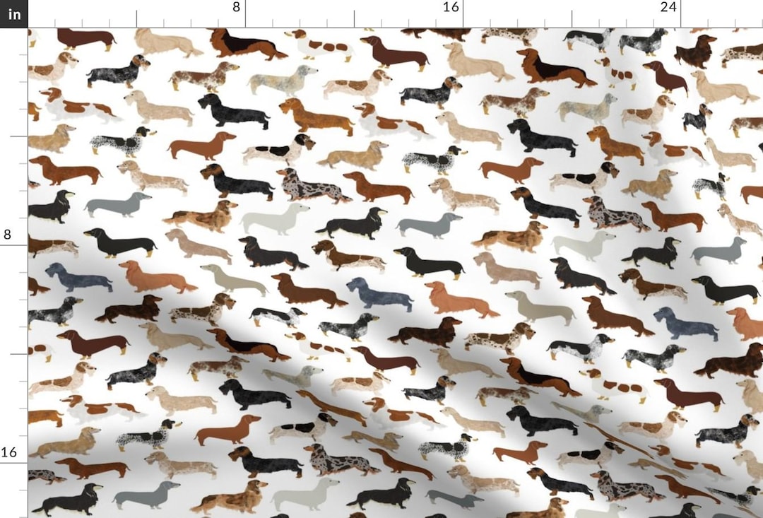 Dachshunds Fabric - Smooth Wire Haired Long Haired Dachshunds Dogs Pets ...