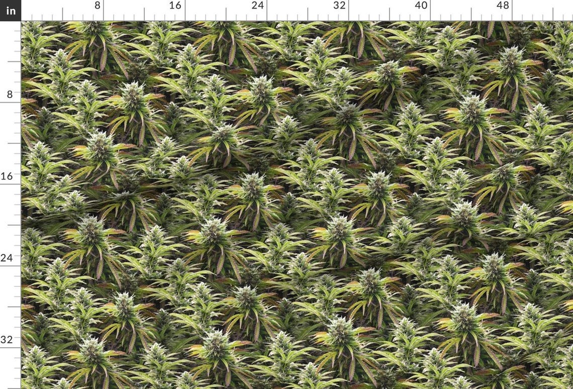 Green Marijuana Fabric - Big Beautiful Buds by Camomoto - Green ...