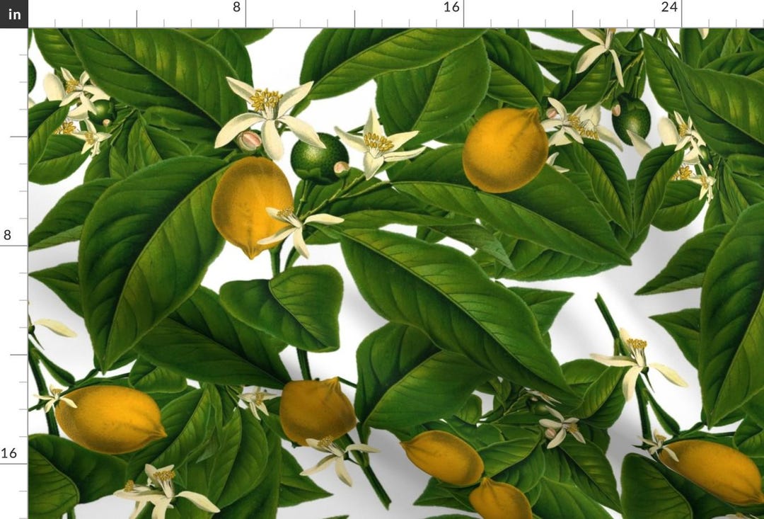 Lemon Fabric - Lemon Botanical by Peacoquettedesigns - Lemon Summer ...