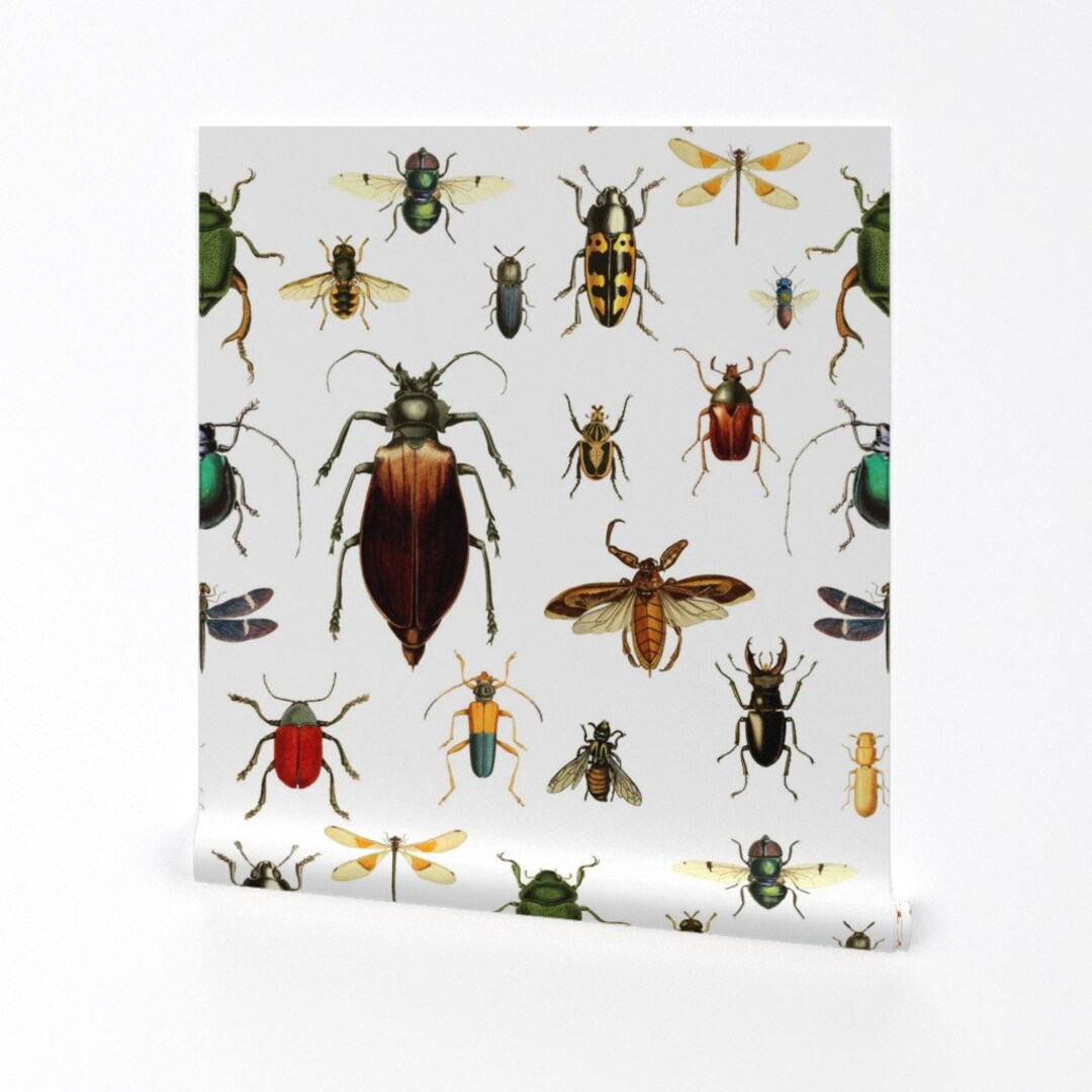 Bugs Wallpaper Bugs Collection by Shopcabin White Boys Insects Beetles ...
