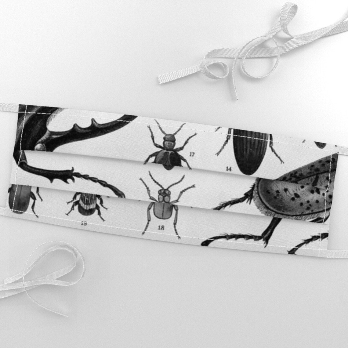 Insect Taxonomy Fabric Beetles Insect Taxonomy Print | Etsy