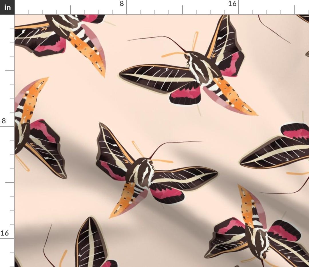 Moth Fabric Hemaris by Annaboo Moth Insect Butterfly Bug Vintage Peach ...