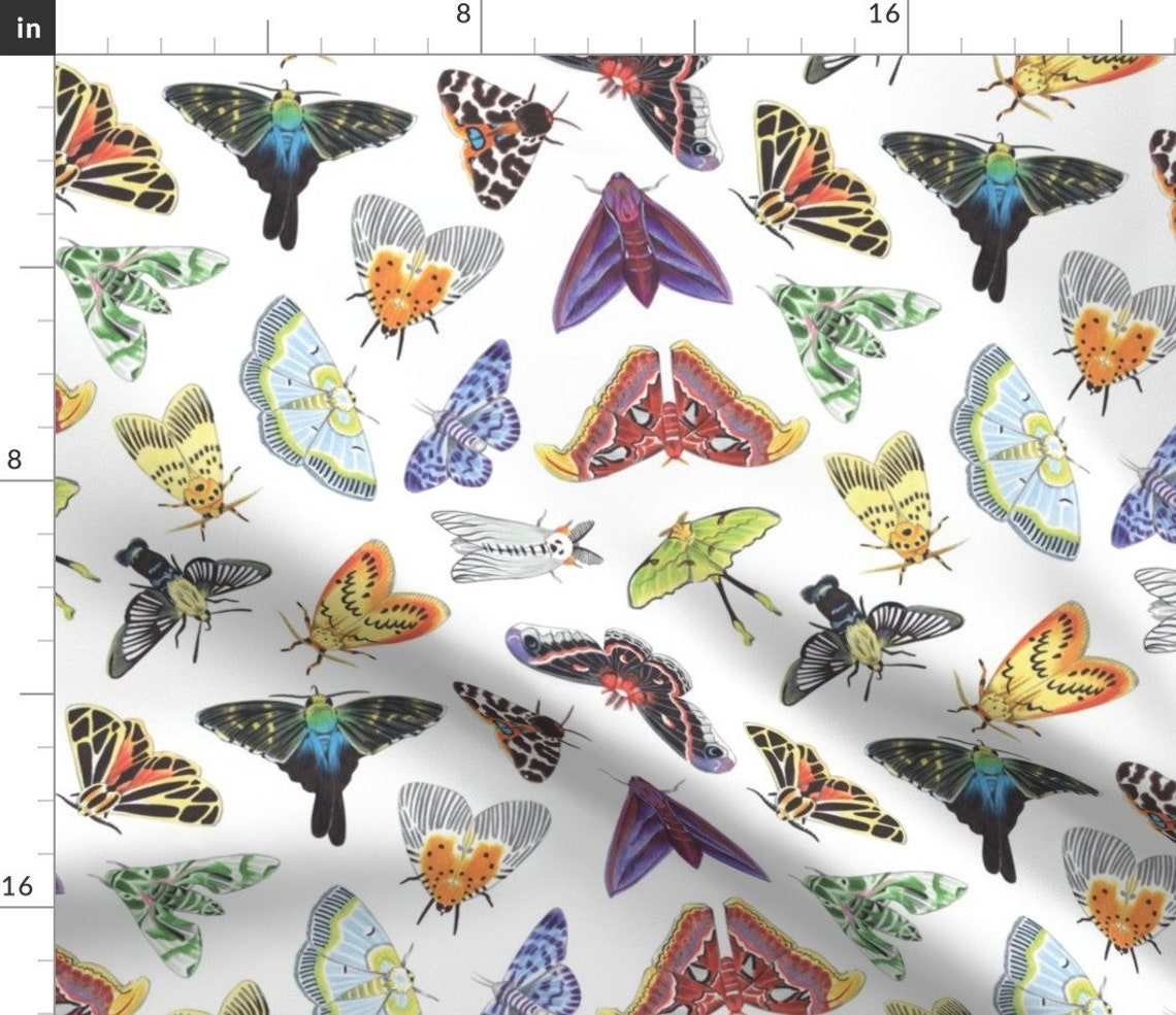 Moths Fabric Colorful Moth Medley by Annegwish33 Moths | Etsy