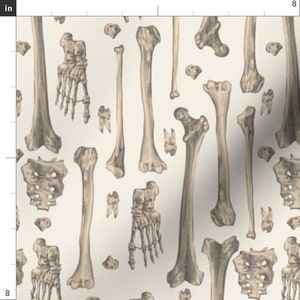Bones Fabric Bones by Deborahballingerillustrations Bones Teeth Femur ...