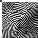 Black and White Fingerprints Fabric Fingerprint Stripes Black White by ...