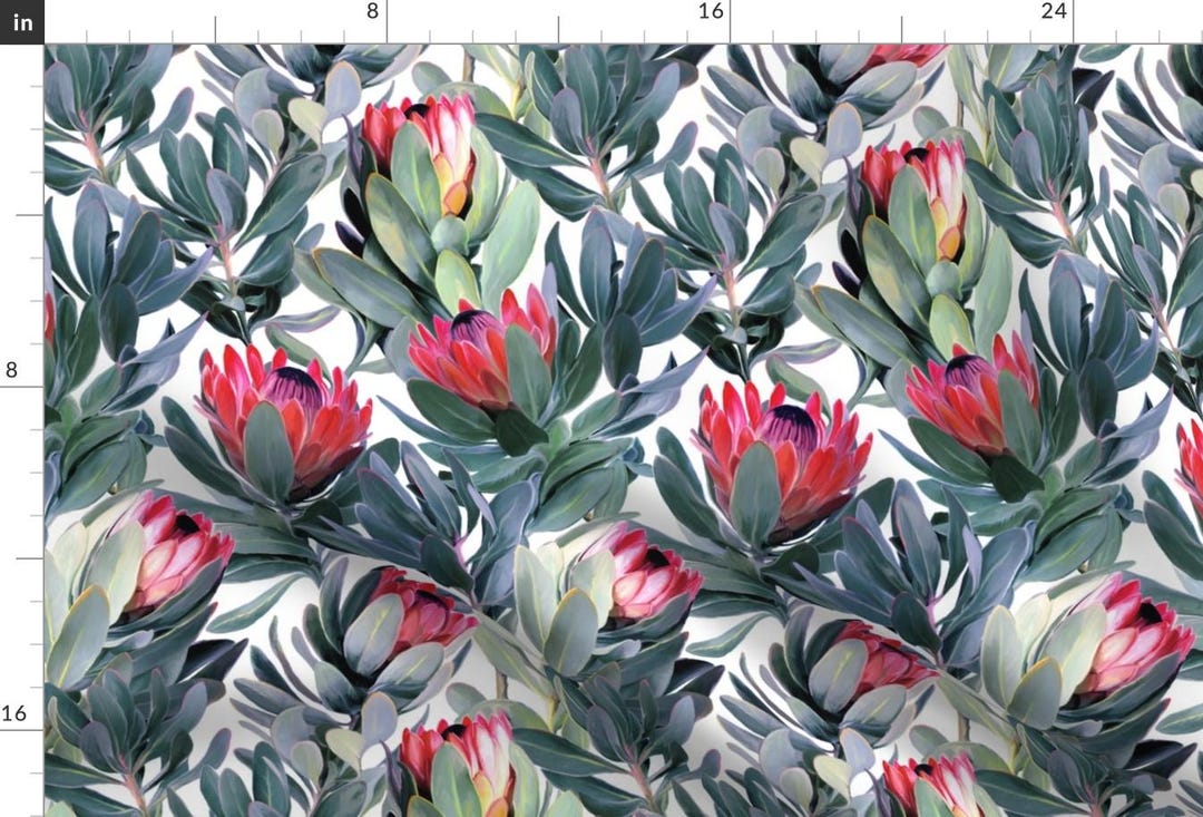 Proteas Fabric - Painted Protea Pattern White Background by Micklyn ...