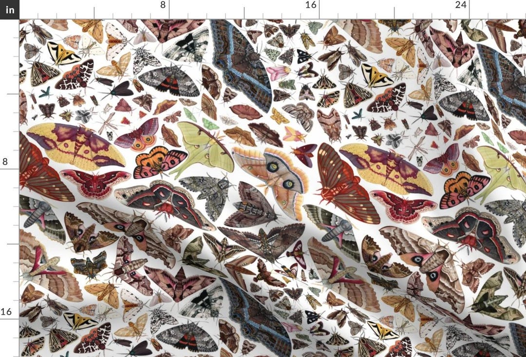Moth Fabric - Moths of North America by Jadafitch - Moth Wings Bug ...