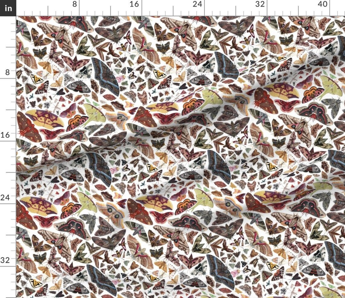 Moth Fabric Moths of North America by Jadafitch Moth Wings - Etsy