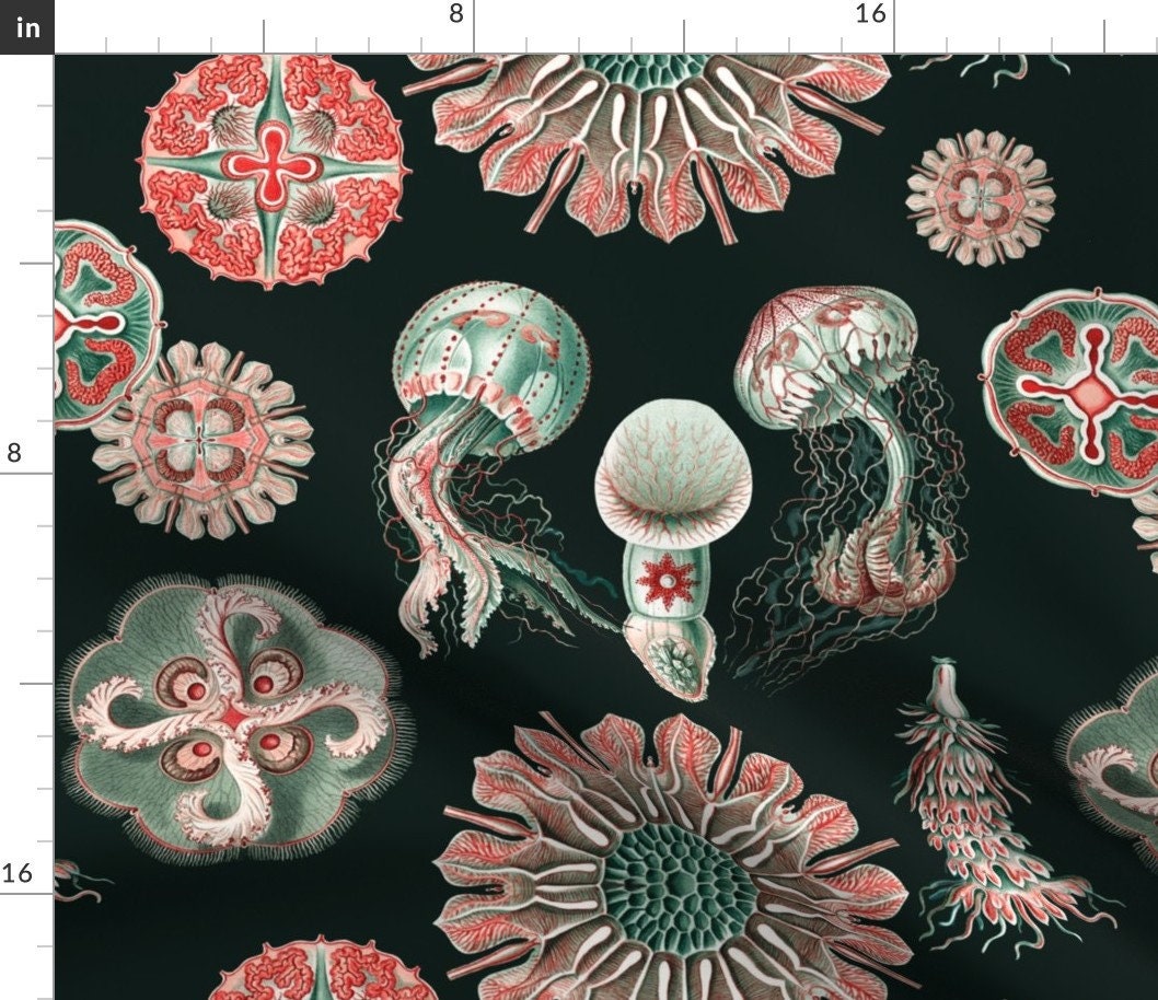 Jellyfish Fabric Jellies on Black by Jellymania Botanical | Etsy