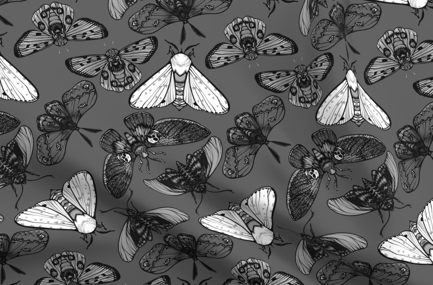 Moth Fabric Grey Moths By Jadegordon Moth Black White Bug | Etsy