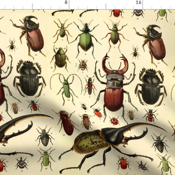 Vintage Bug Print - Etsy UK