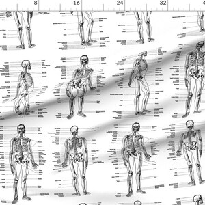 Skeleton Fabric Anatomical Study of A Skeleton by Weavingmajor Skeleton ...