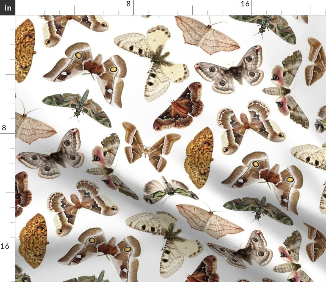 Vintage Moth Fabric Moths on White by Jellymania Moth Butterfly Insect ...