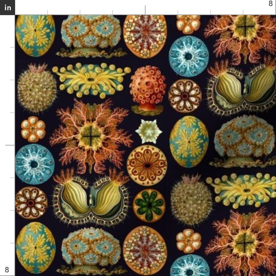 Haeckel Fabric Haeckel Ascidiae Sea Squirts By | Etsy