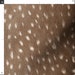 Deer Skin Pattern Fabric Silky Deer Hide Brown Deer Skin // - Etsy