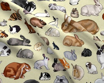 Rabbit breeds | Etsy