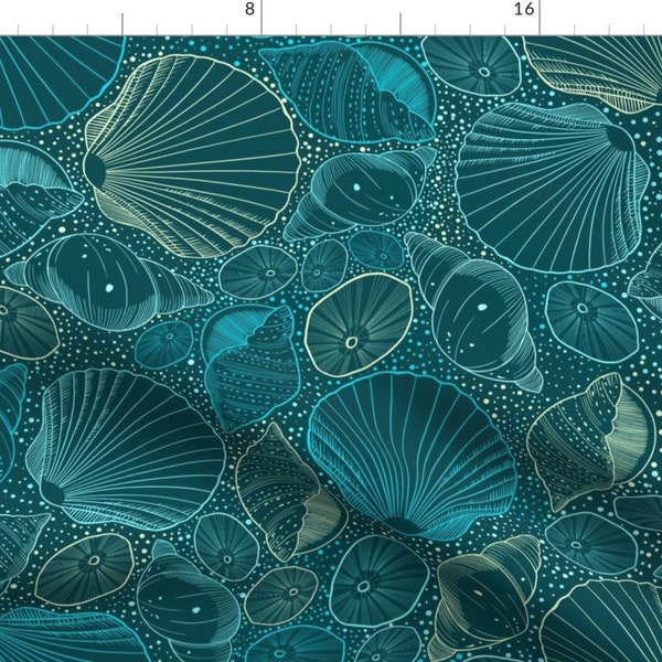 Turquoise Seashells - Etsy