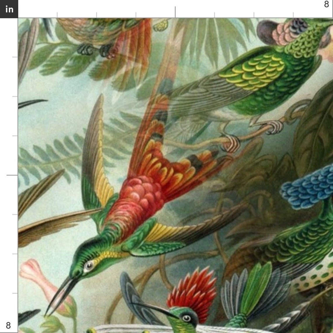 Vintage Hummingbirds Fabric Vintage Hummingbird Pattern by - Etsy
