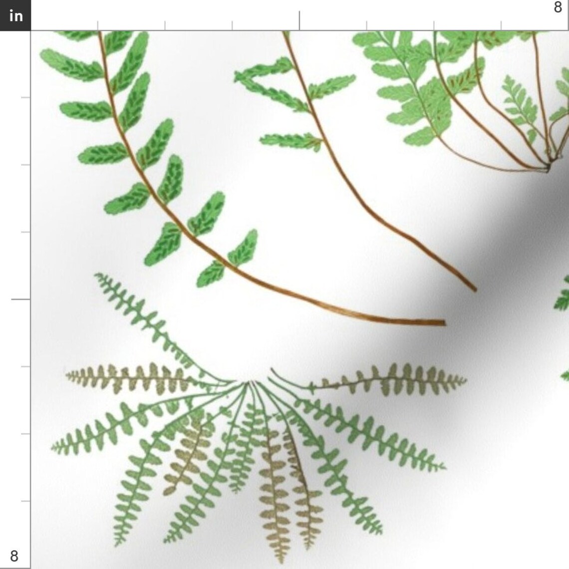 Botanical Ferns Fabric Fern Botanical White by | Etsy