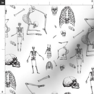 Bones Fabric - Skeletons Oh My by Mischievousdesign - Human Skeleton ...