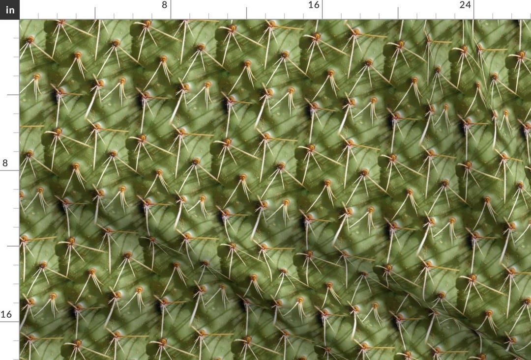 Macro Cactus Fabric - Cactus Close-up by J-andrew - Cactus Green ...