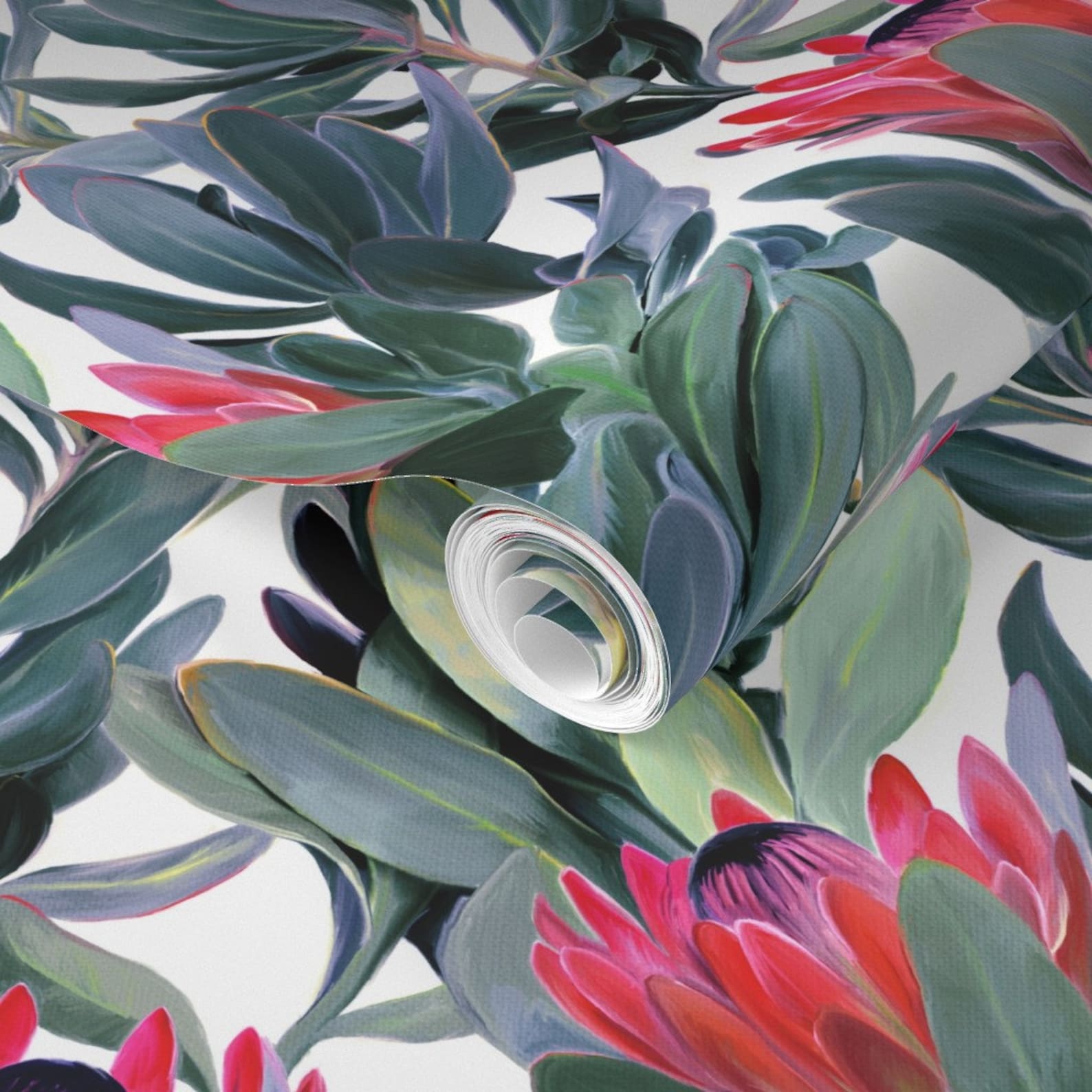 Proteas Wallpaper Painted Protea Pattern on White by Micklyn - Etsy