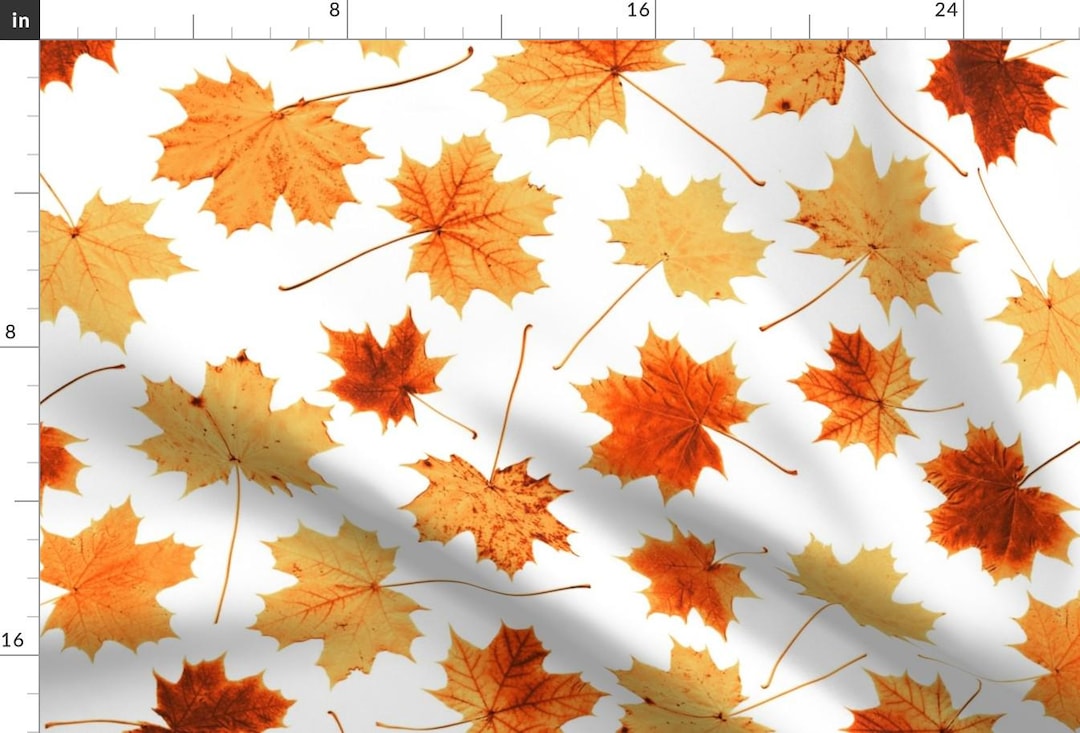 Bold Maple Leaves Fabric - Maple Leaves - Harvest Colors, Life Sized by ...
