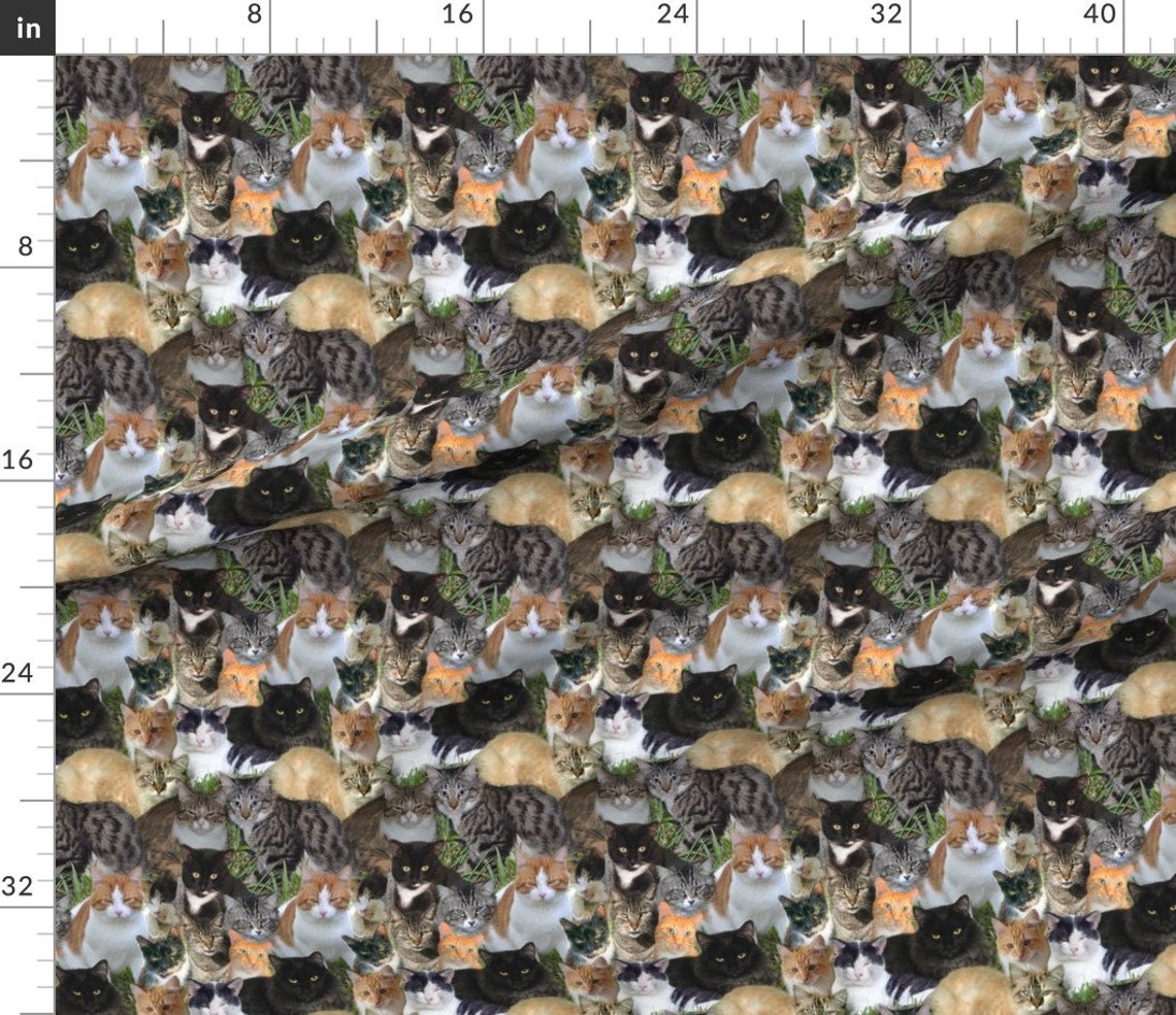 Cat Fabric Kitty Kitten Calico Orange Black Photo Cat - Etsy