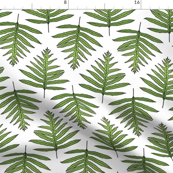 Ferns - Etsy