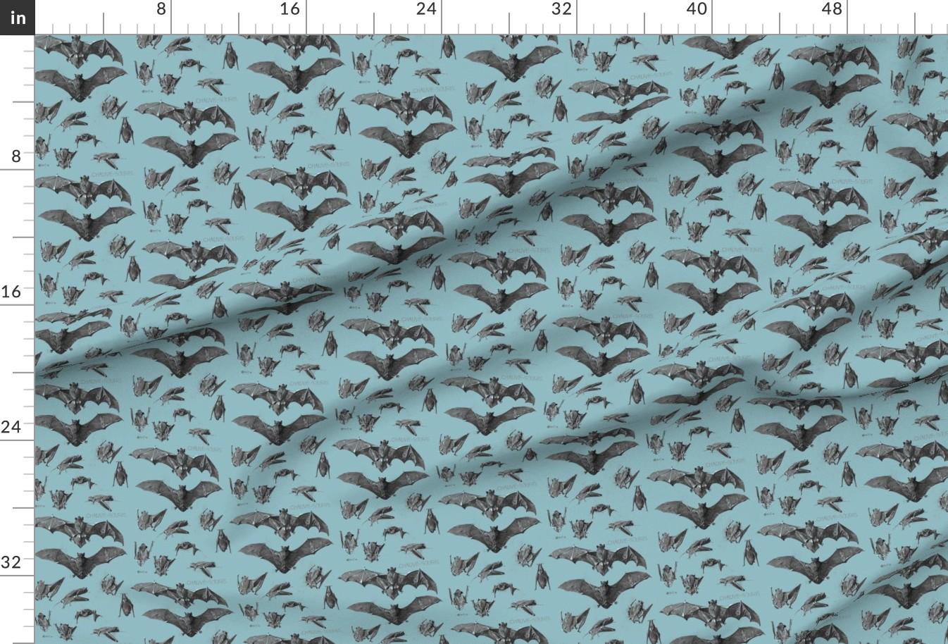 Bat Fabric - Illustrated Vintage Bats Blue by Craftyscientists ...