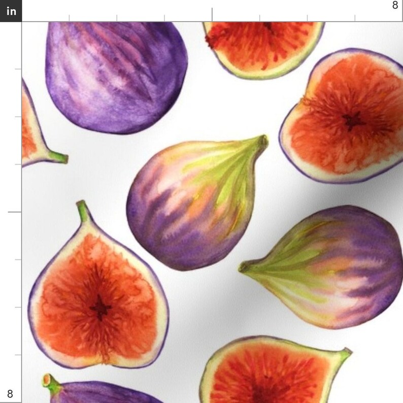 Fun Fig Fabric Figs by Svetlana Prikhnenko Watercolor - Etsy