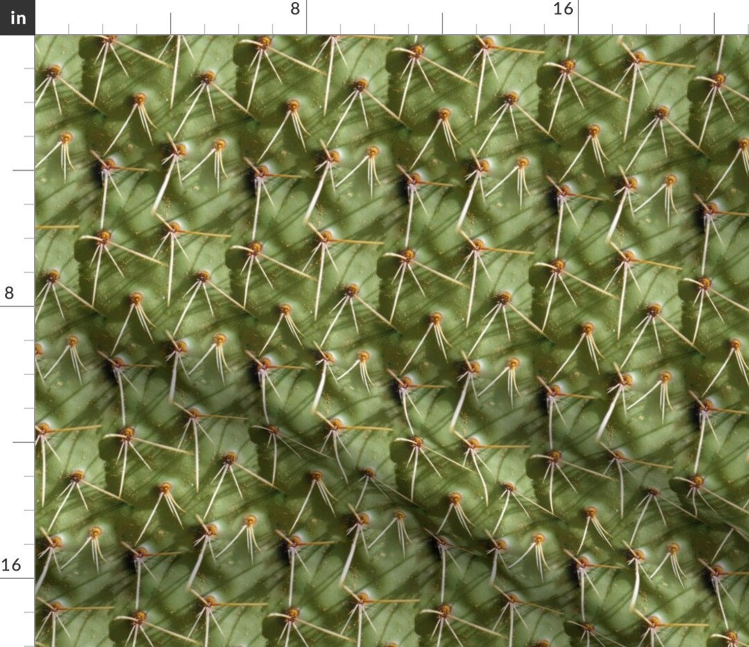 Macro Cactus Fabric Cactus Close-up by J-andrew Cactus Green ...